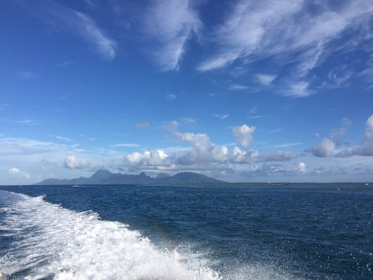 Tahiti and Easter Island – Sharks, Moai and Pisco Sours – Have Son Will ...