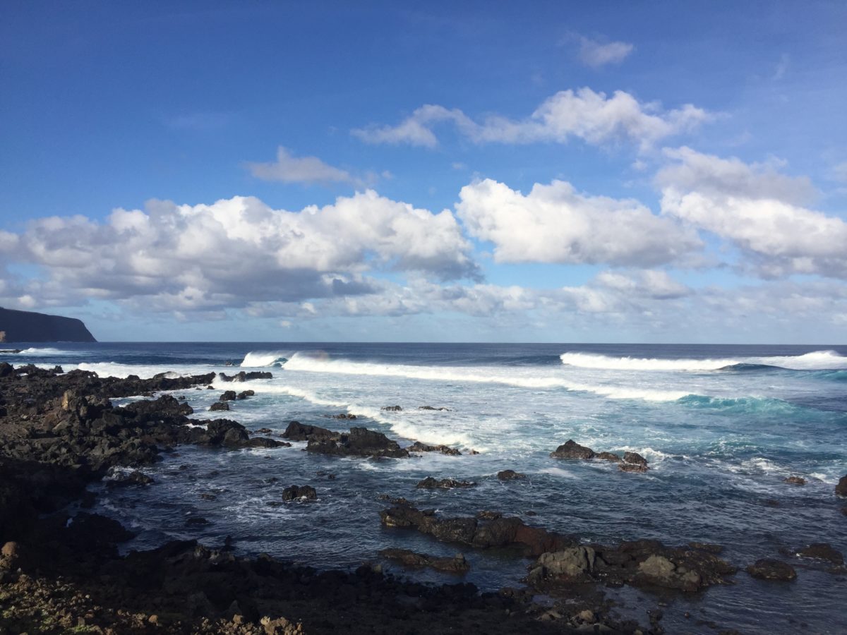 Tahiti and Easter Island – Sharks, Moai and Pisco Sours – Have Son Will ...