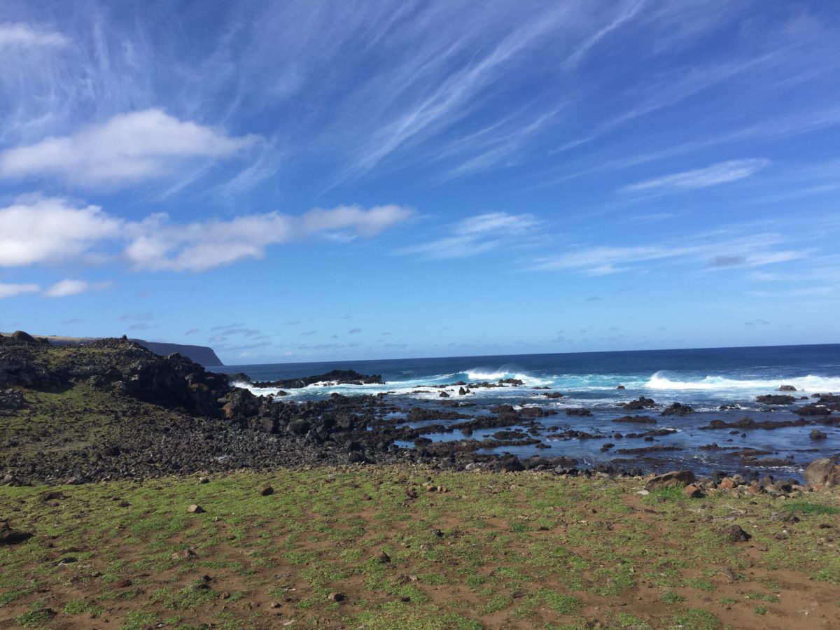 Tahiti and Easter Island – Sharks, Moai and Pisco Sours – Have Son Will ...