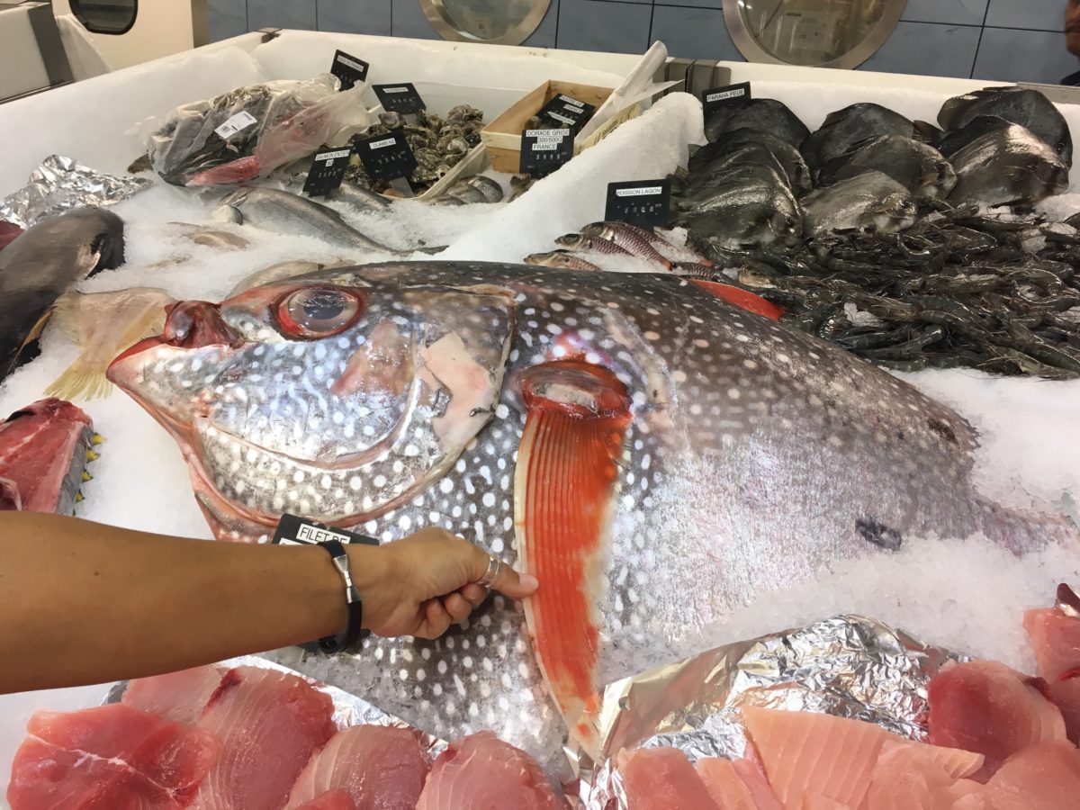 Tahiti and Easter Island – Sharks, Moai and Pisco Sours – Have Son Will ...